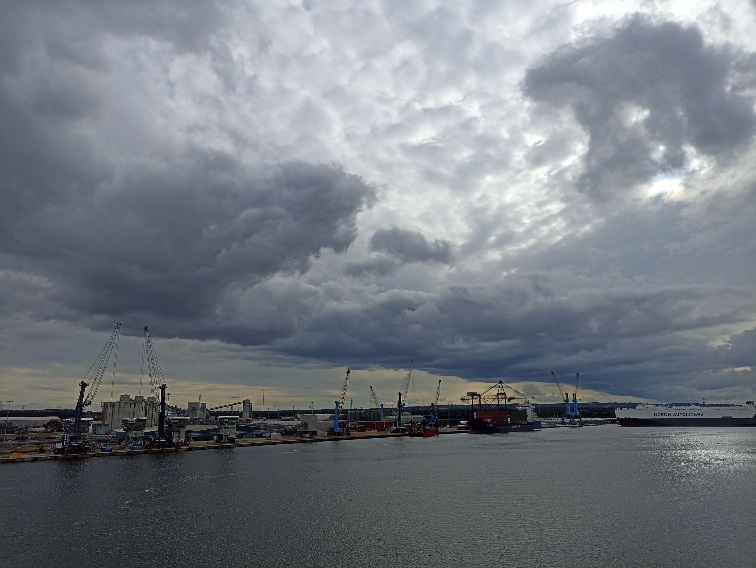 The most influential book » EJ`s World of Words